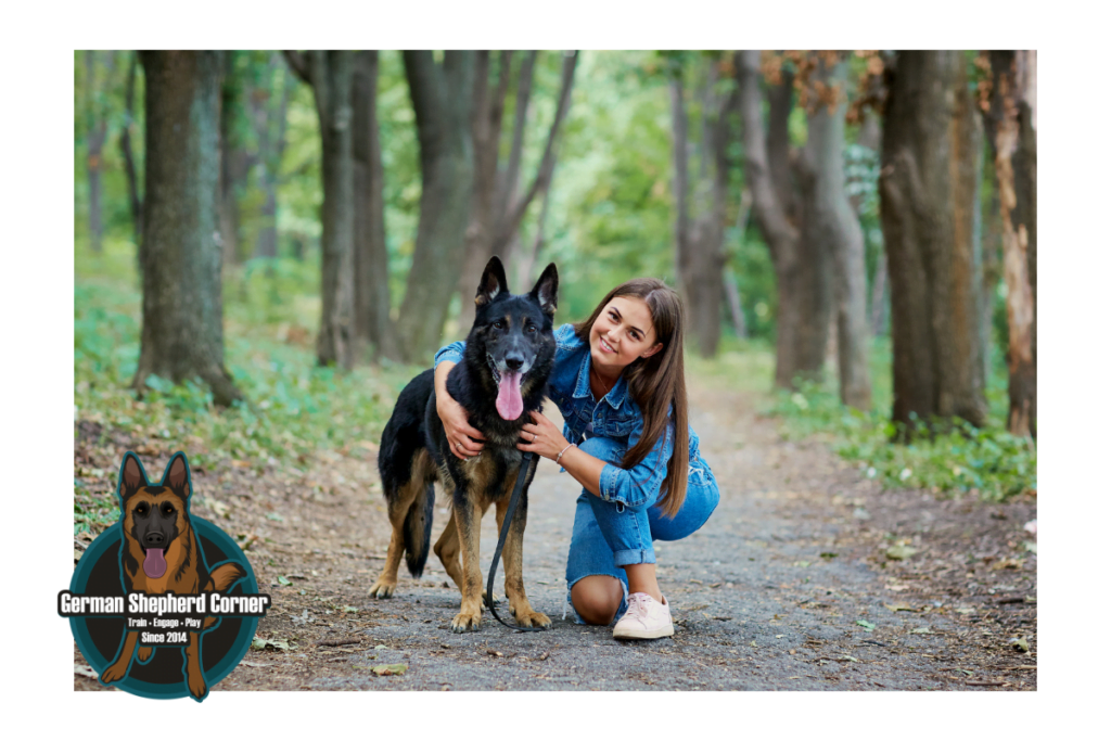 German Shepherd Training Commands the Essential Guide by a Professional ...
