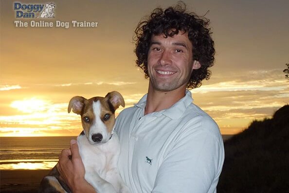 Doggy Dan Review a Certified Dog Trainer’s Expert Opinion
