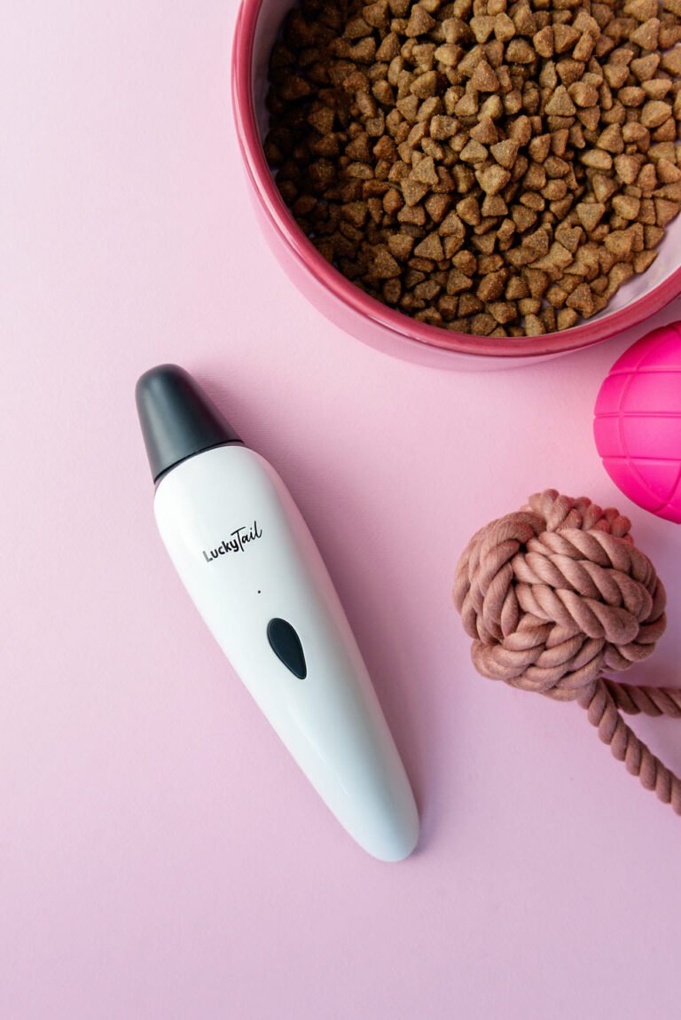 What is the Best Dog Nail Grinder