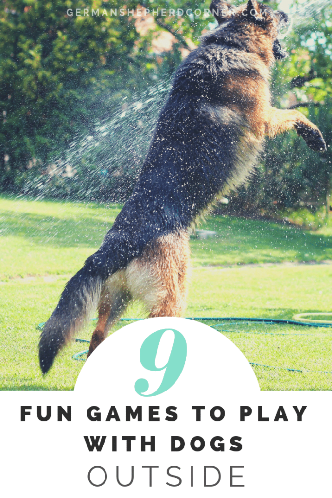 Fun Games to Play with Dogs Outside