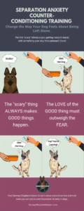 How to Treat Separation Anxiety in a Dog